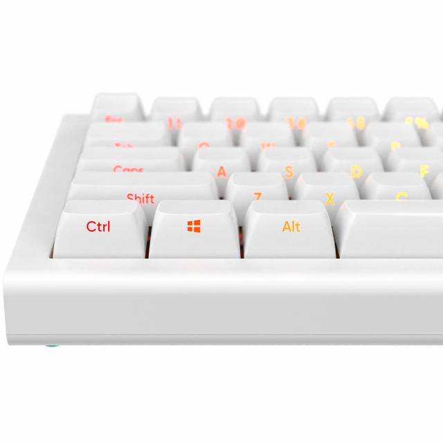 Gaming Wireless Mechanical Keyboard Nubi NK68HE White - Hall Effect